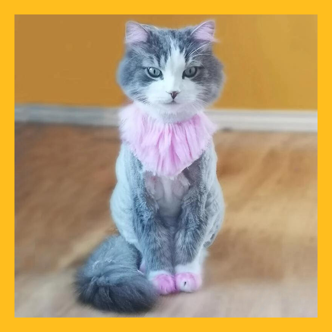 Ritz Professional Cat and Dog Groomer